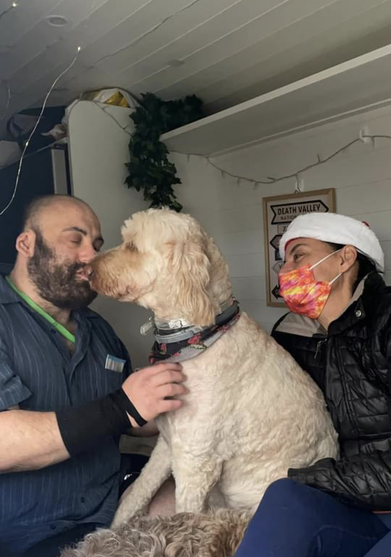 PETA and The Fight to Stop Animal Poisoning (In Memoriam of Molly ...