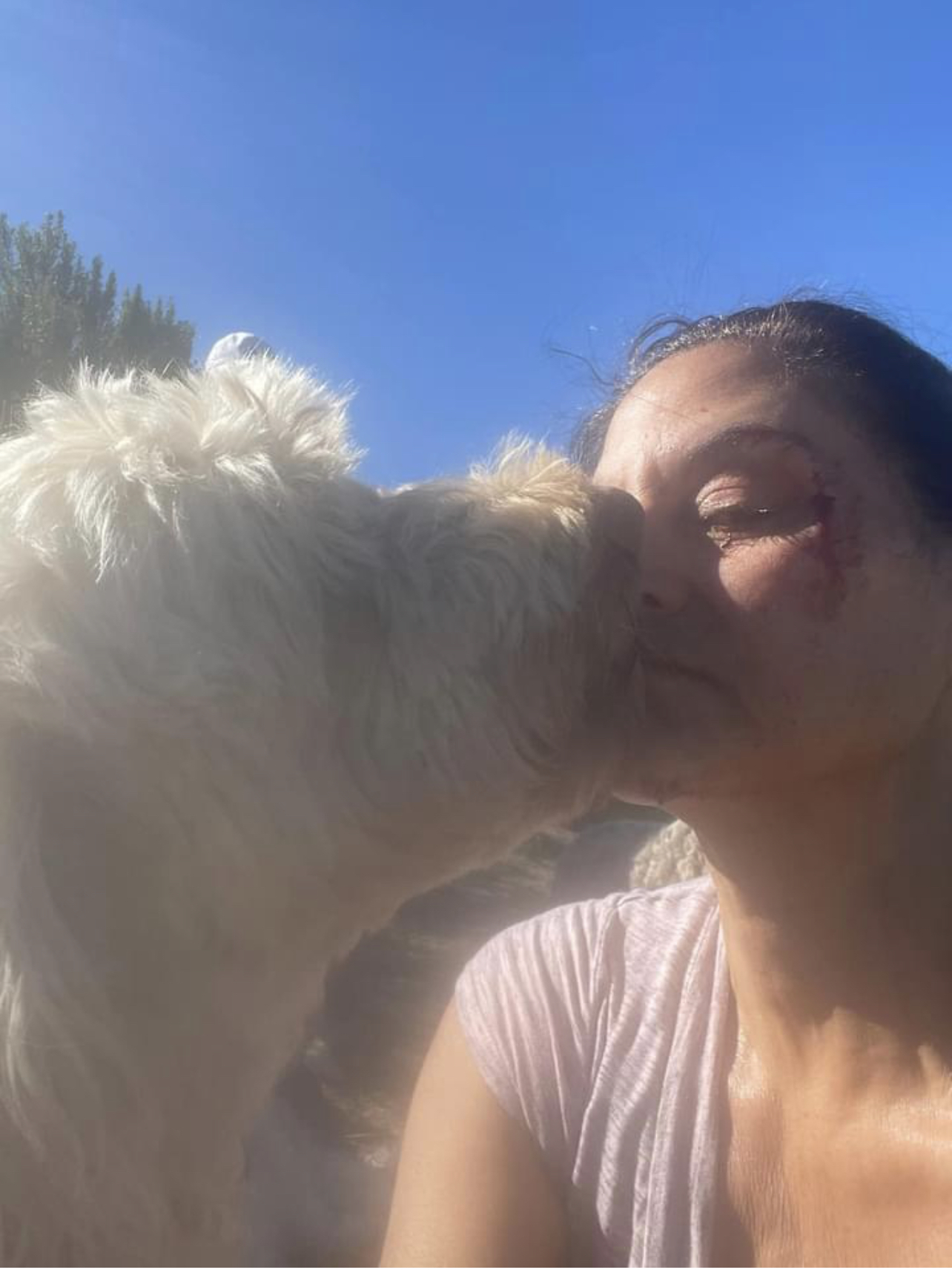 PETA and The Fight to Stop Animal Poisoning (In Memoriam of Molly ...