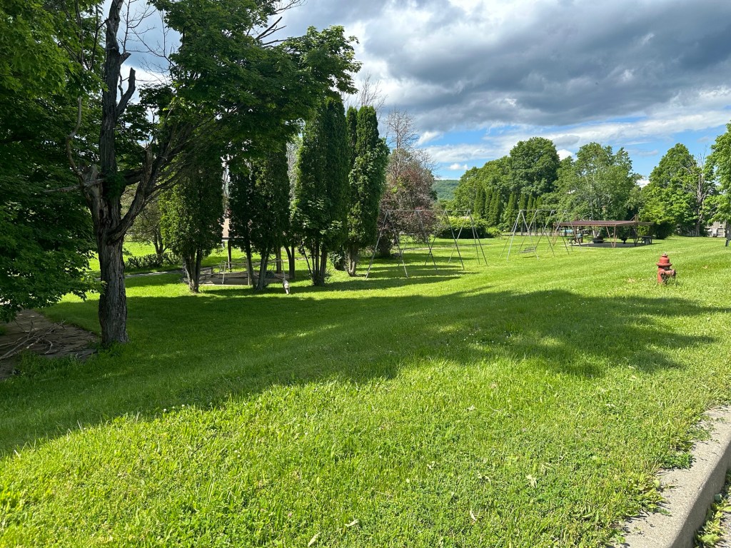 Unearthing Shadows: Remembering Wassaic and Imagining a Better Tomorrow ...