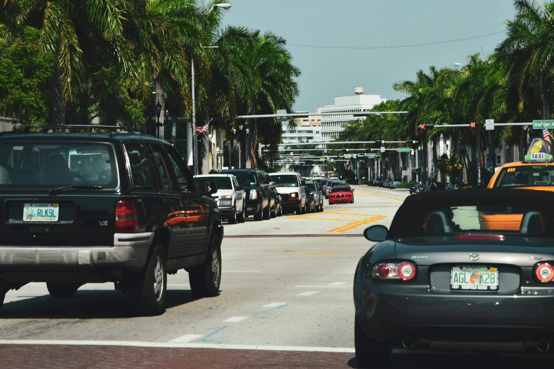 New Florida License Plate Changes for the Standard Style – Autisticana