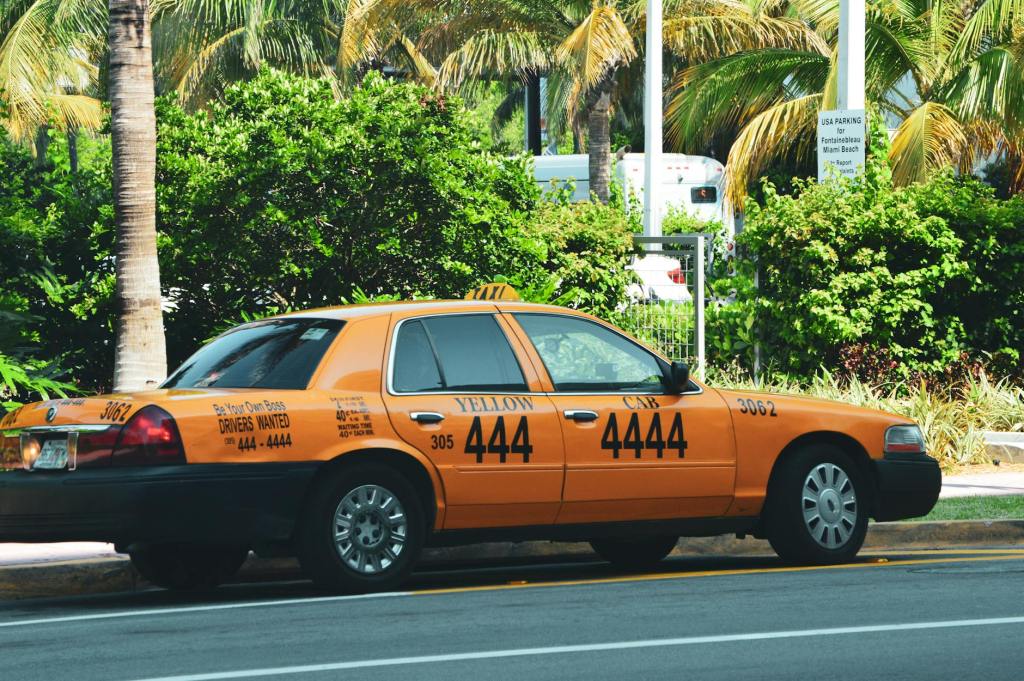 New Florida License Plate Changes for the Standard Style – Autisticana