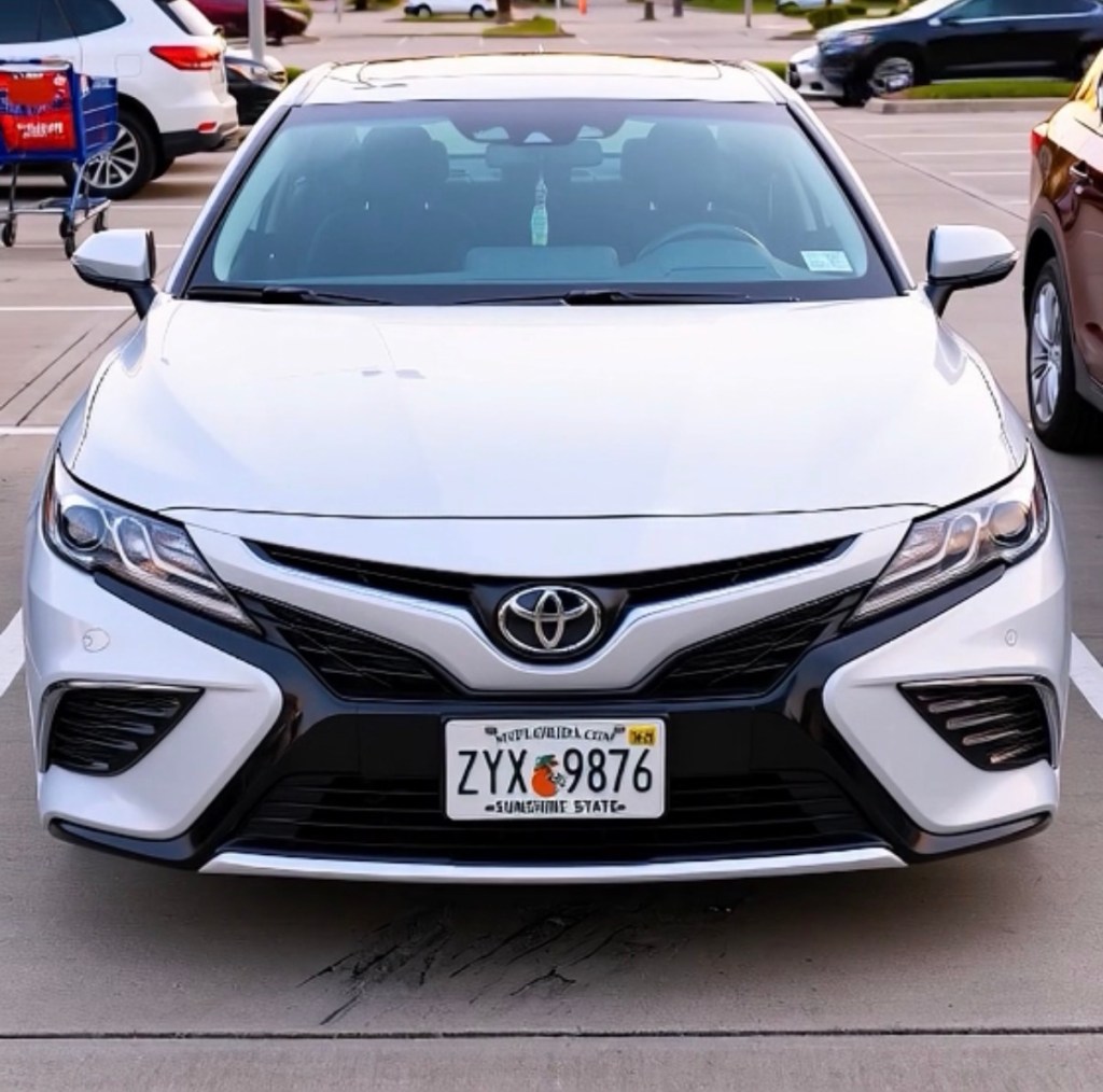 New Florida License Plate Changes for the Standard Style – Autisticana