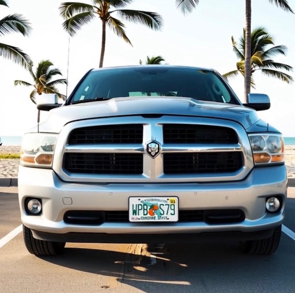 New Florida License Plate Changes for the Standard Style – Autisticana